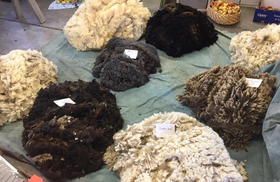 High Desert Wool Growers