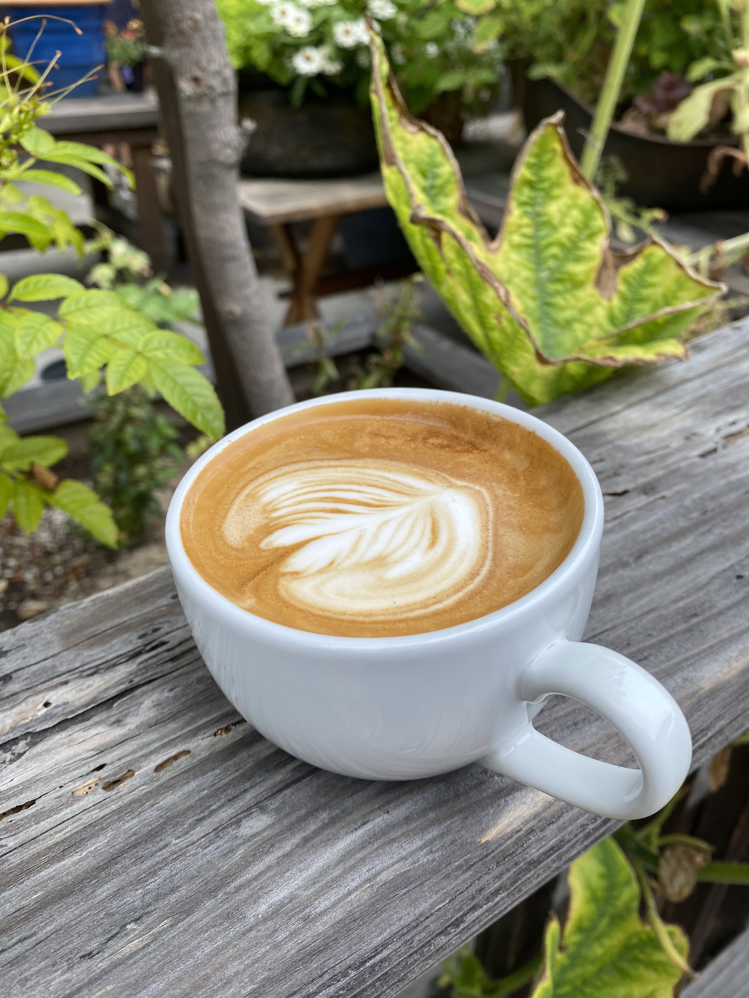 The Flower Pot Cafe and Bakery