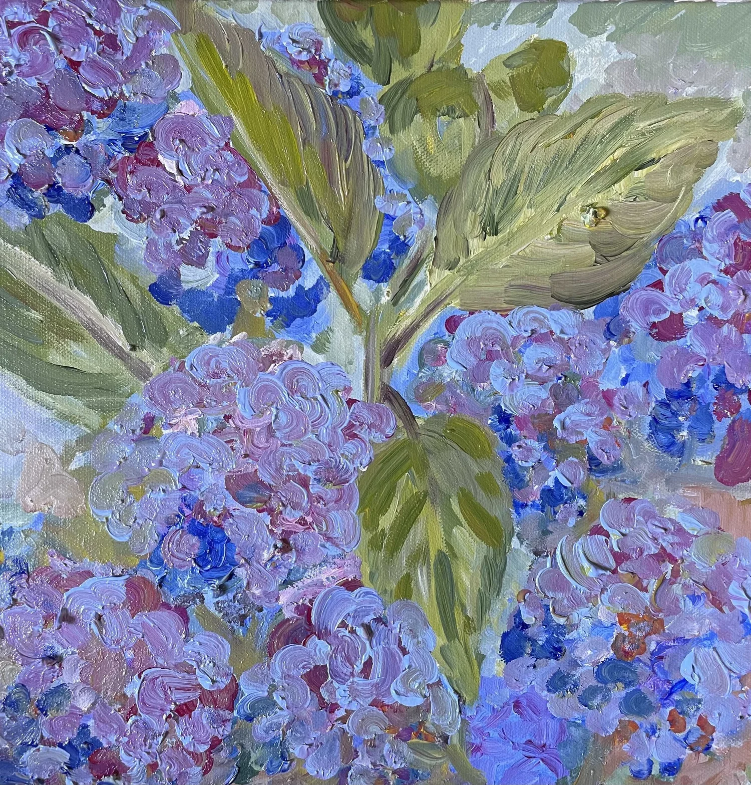Products from Catherine Freemantle Studio — Catherine Freemantle Studio
