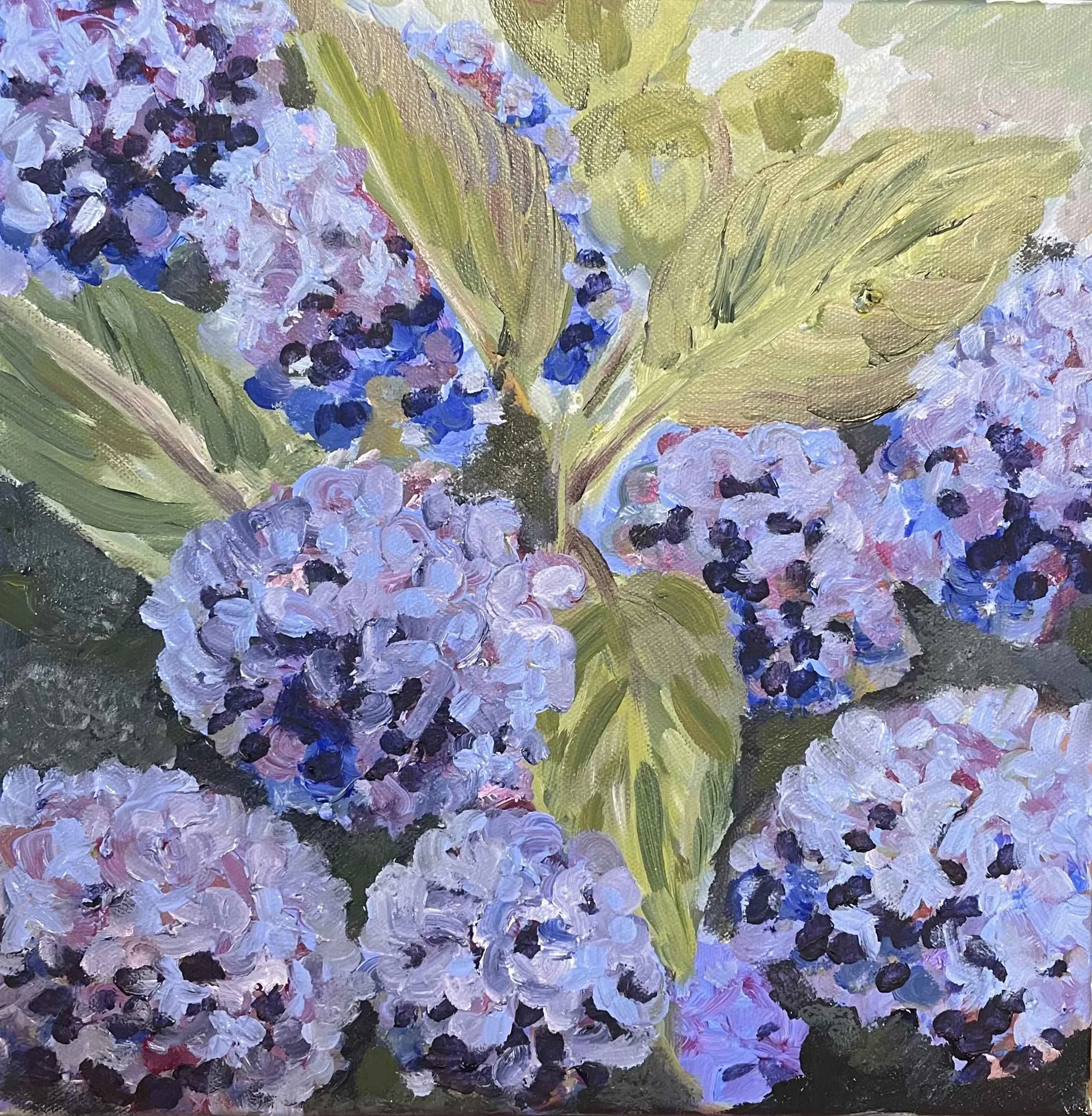 Products from Catherine Freemantle Studio — Catherine Freemantle Studio