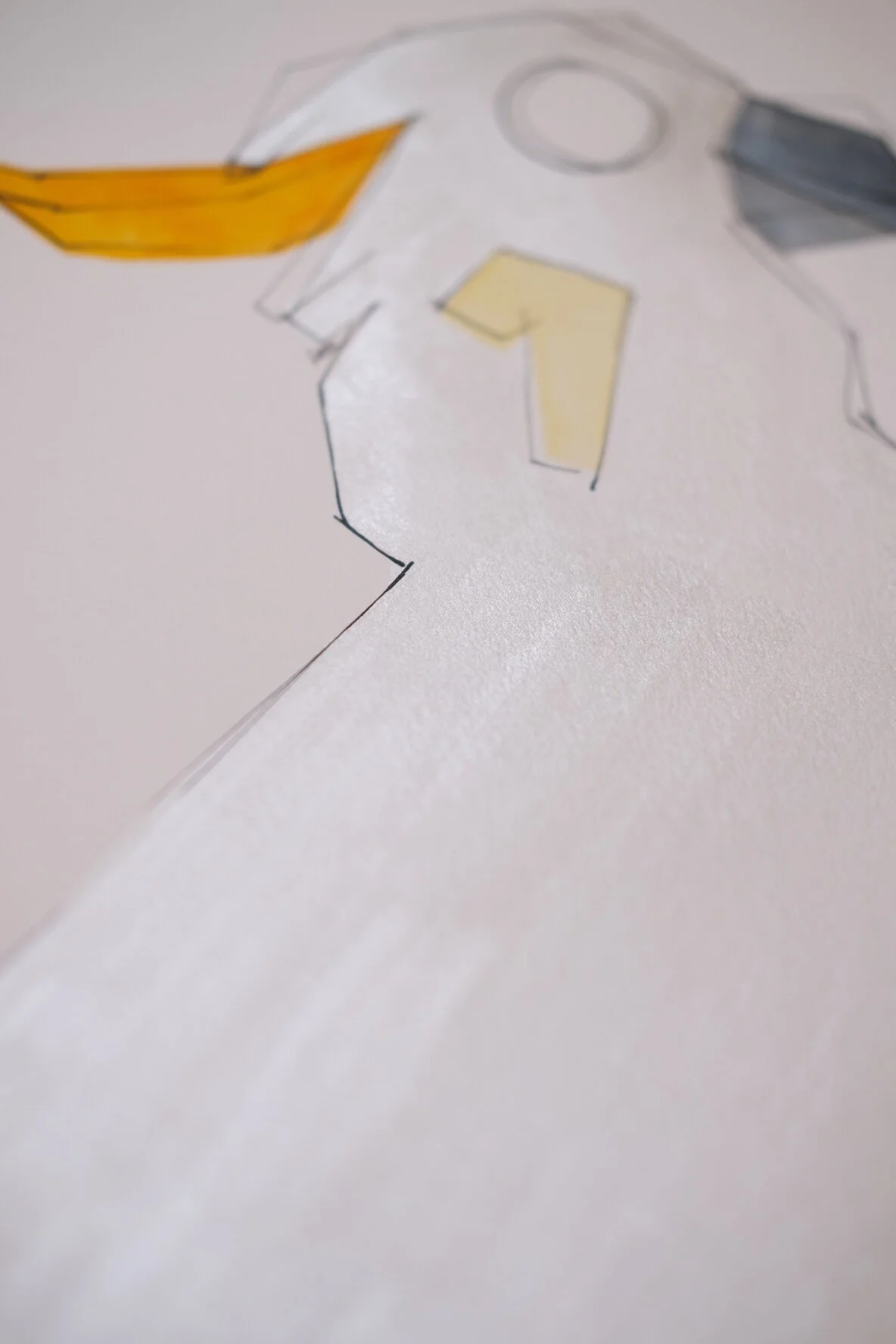 Paco — Maltry Creative