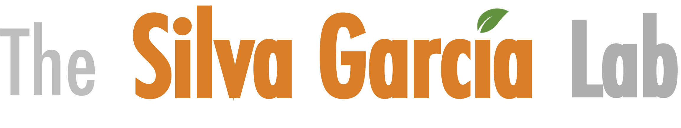 The Silva García Lab