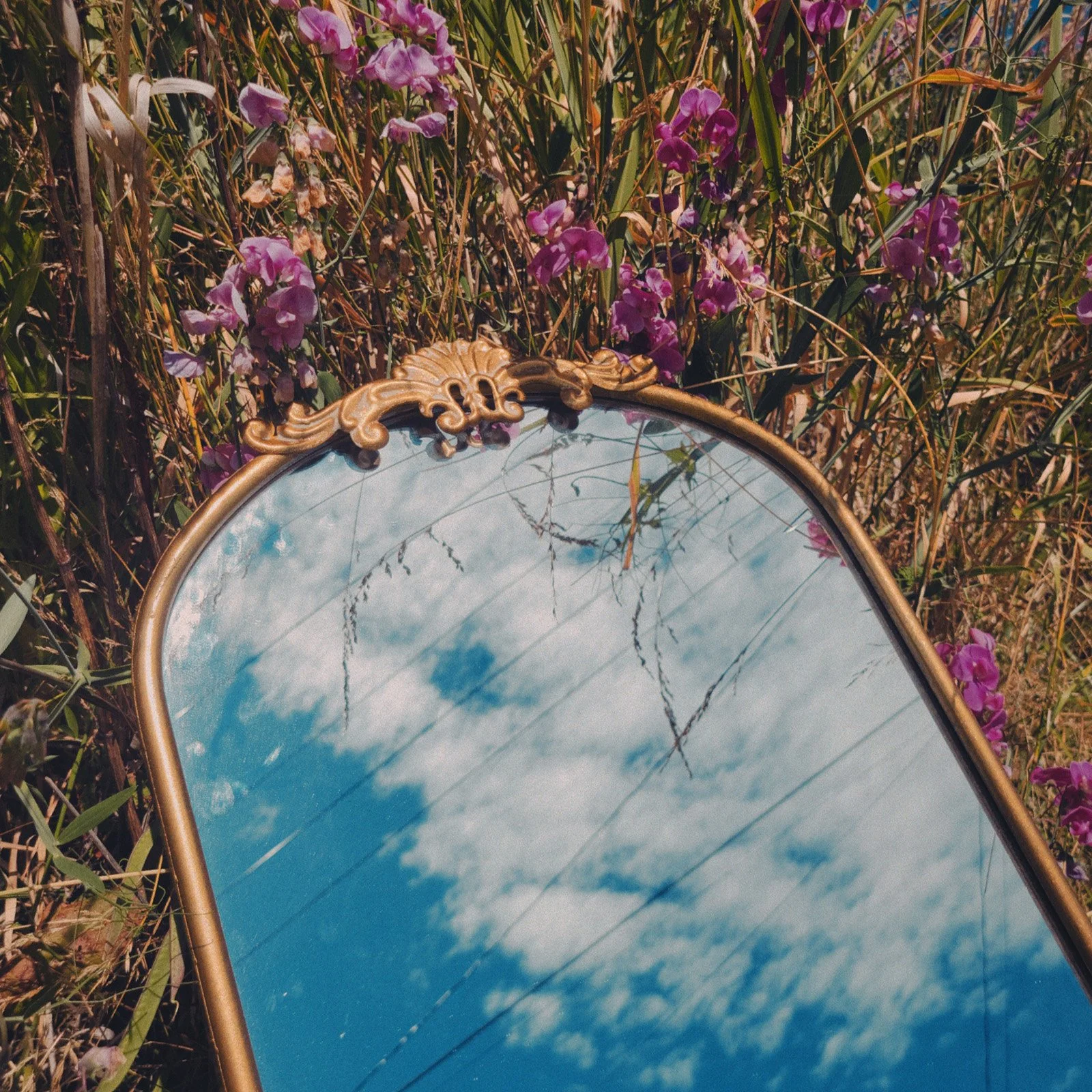 Hard Maybe | Seattle neosoul