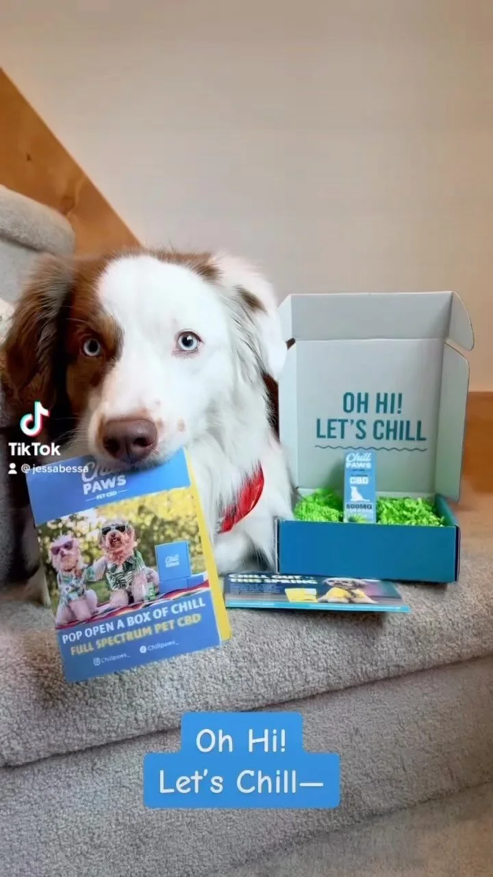 Savvy Dog Society LLC