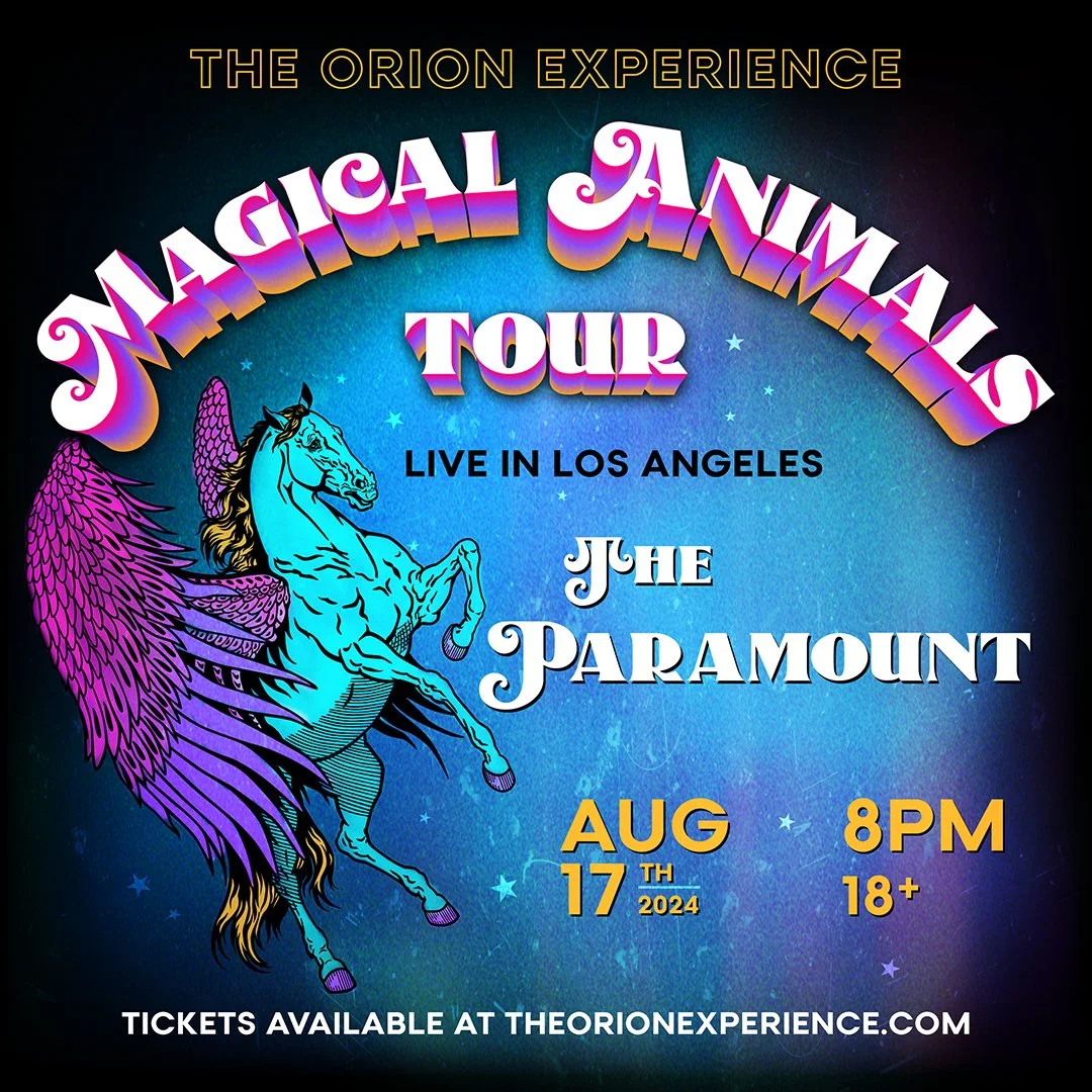 The Orion Experience