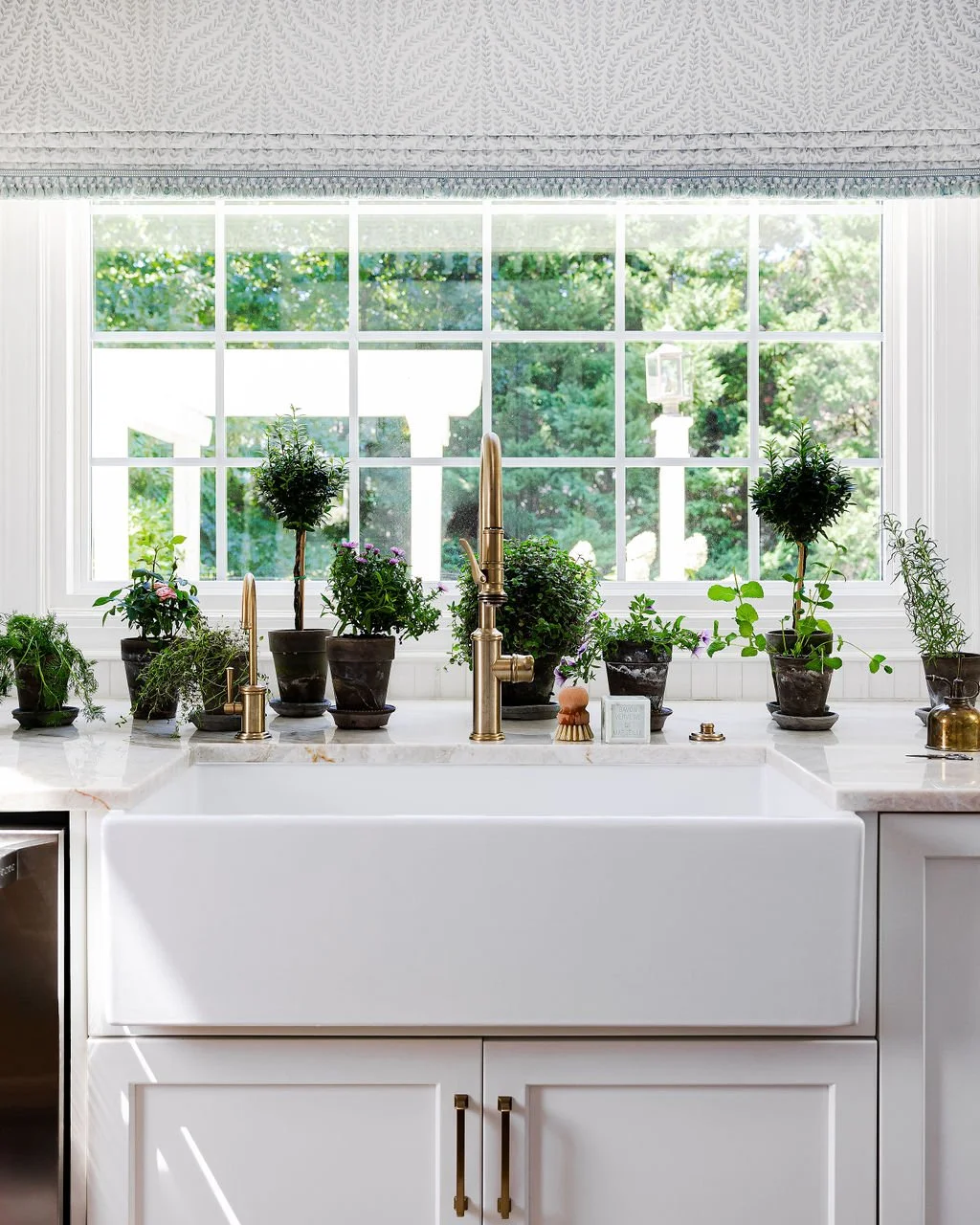 Raphael — Debra Zinn Styling