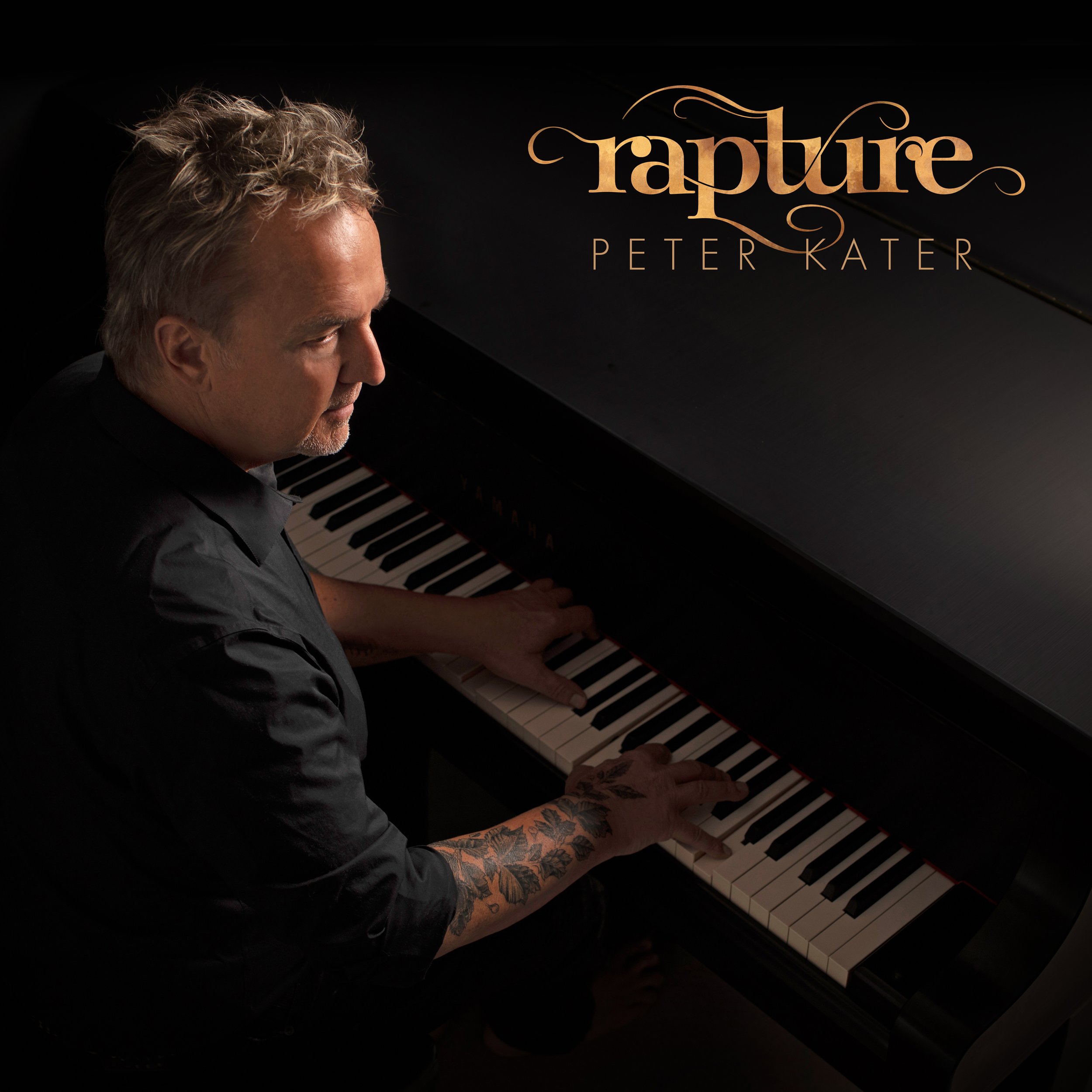 Albums — PETER KATER