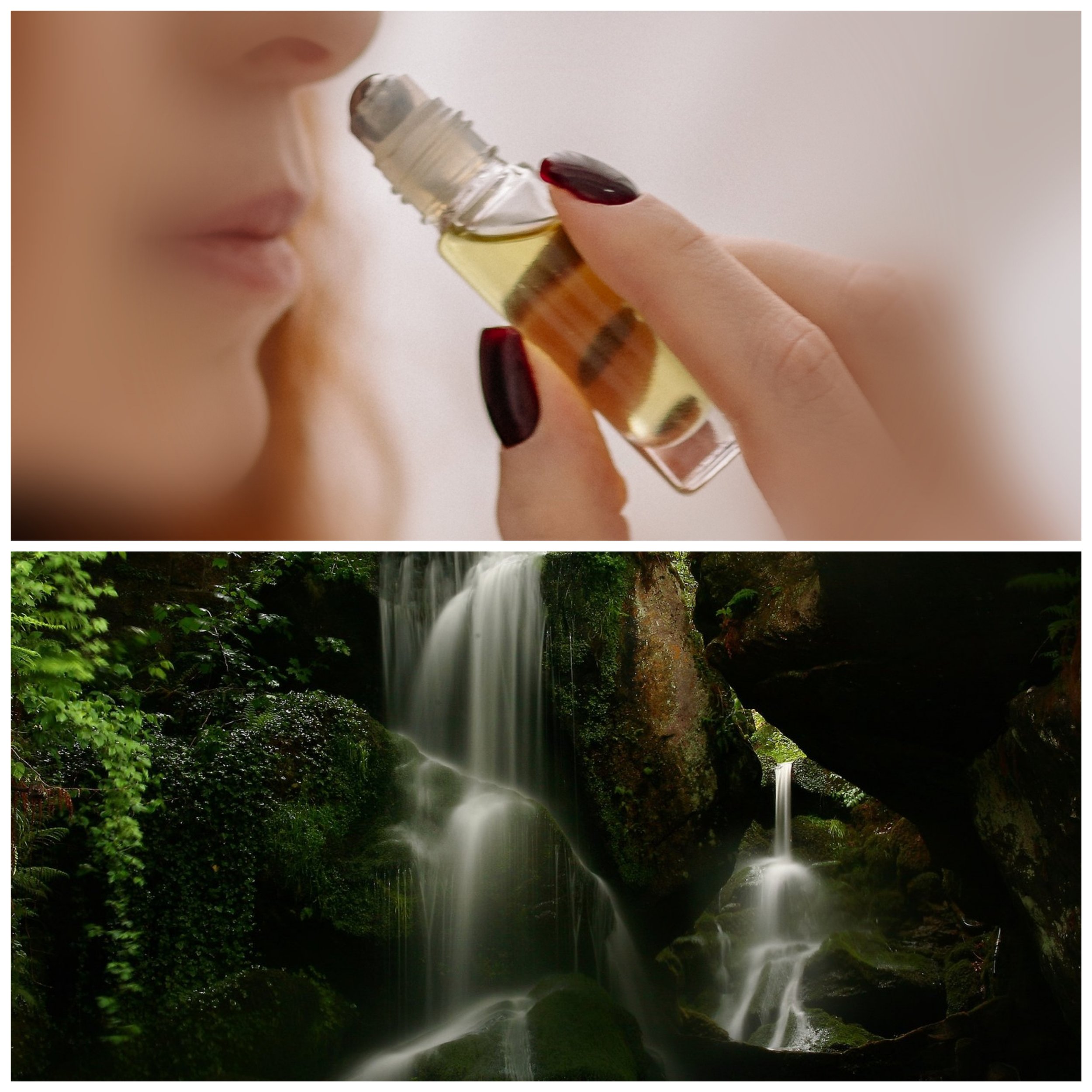 Japanese Honeysuckle Perfume Oil — Moonlight Soaps Bath & Body