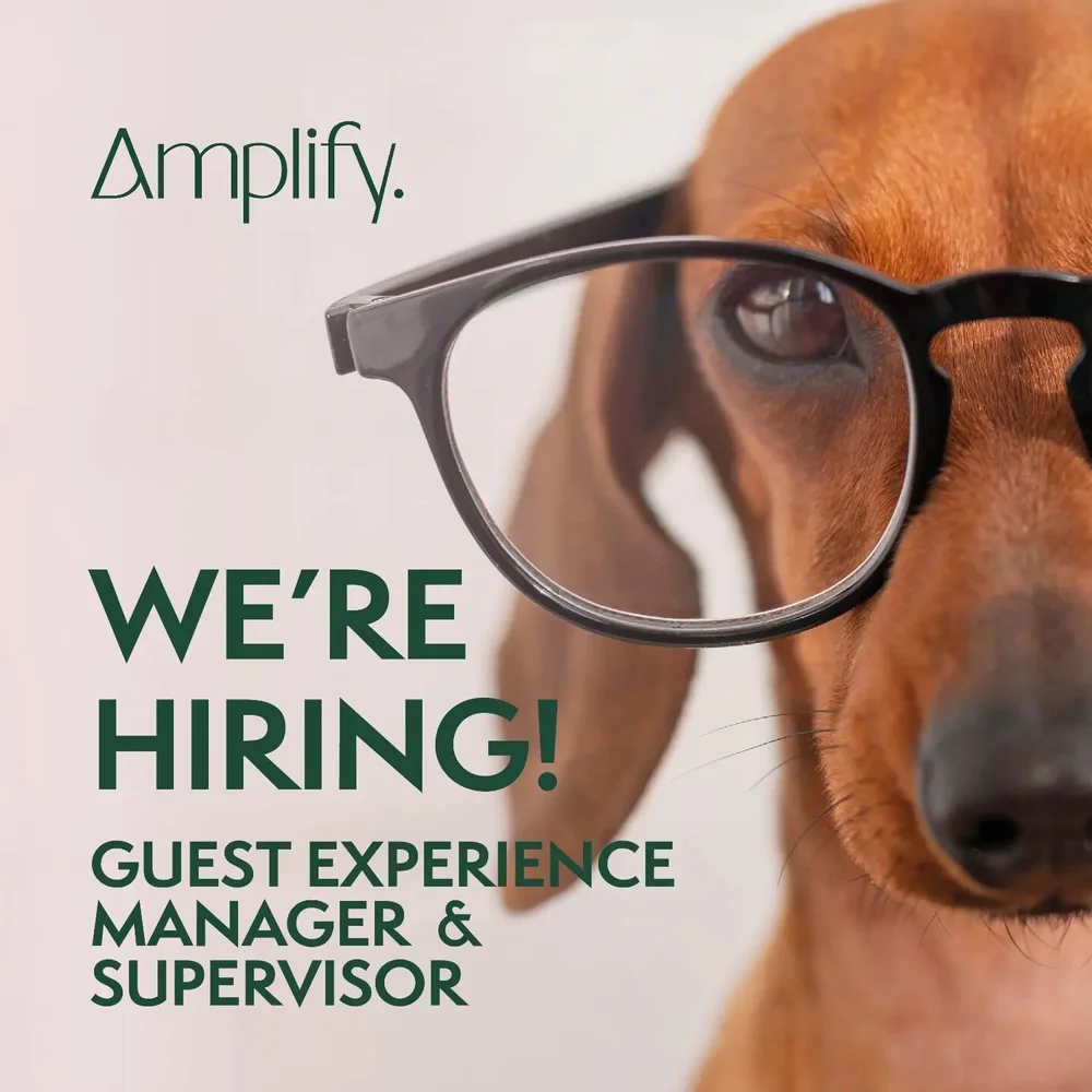 Amplify Guest Services