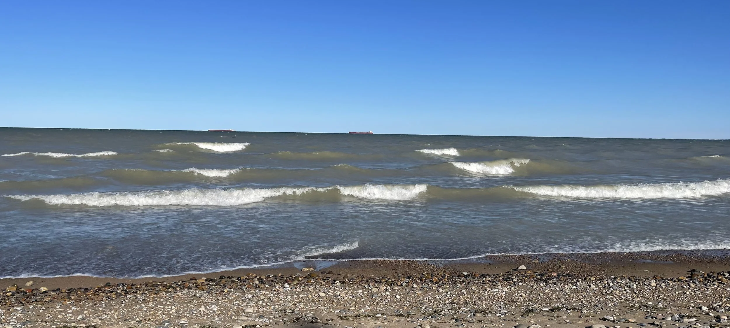 Business — Sheldon Beach