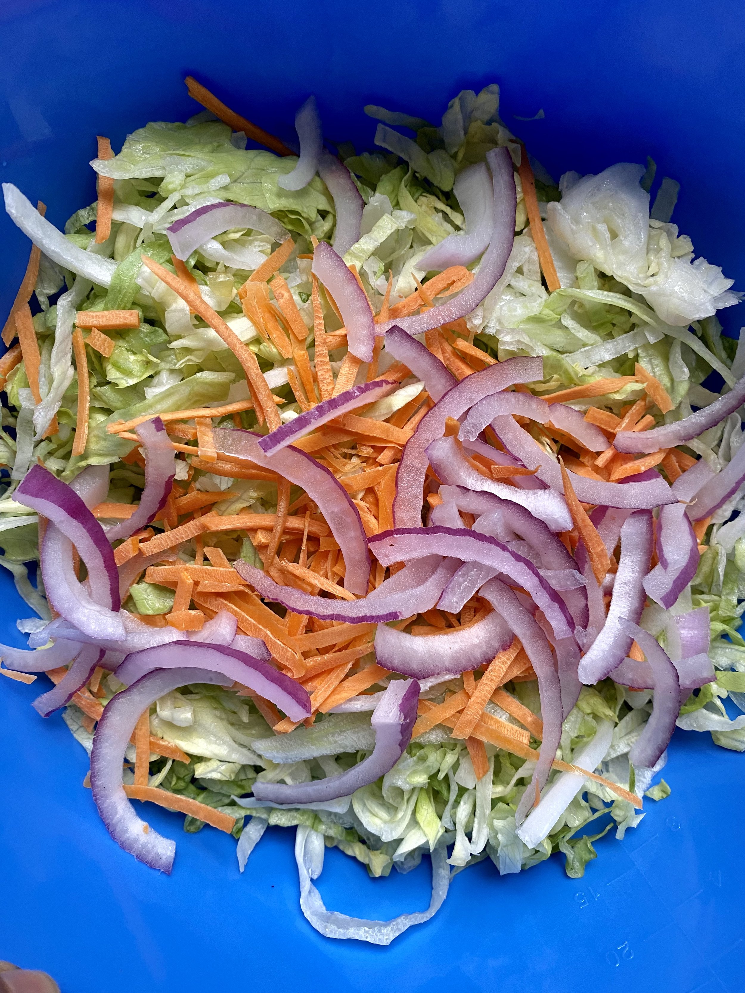 Iceberg Lettuce Slaw — FindingMyFierce