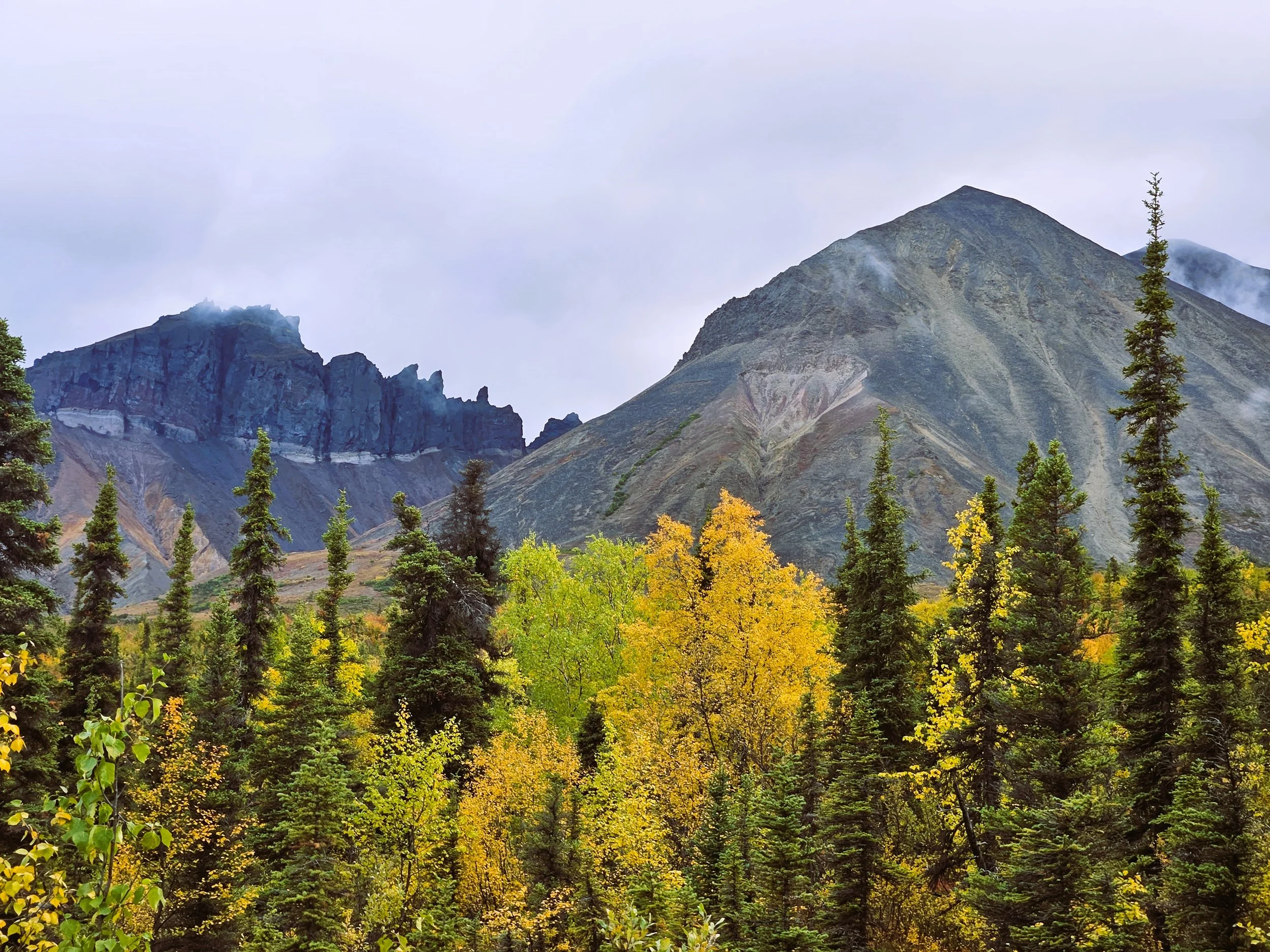 Summer Off-grid Workshops At Avens Alaska — Avens Alaska Lodging