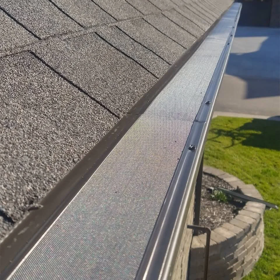 LeafOut — LeafOut 2022