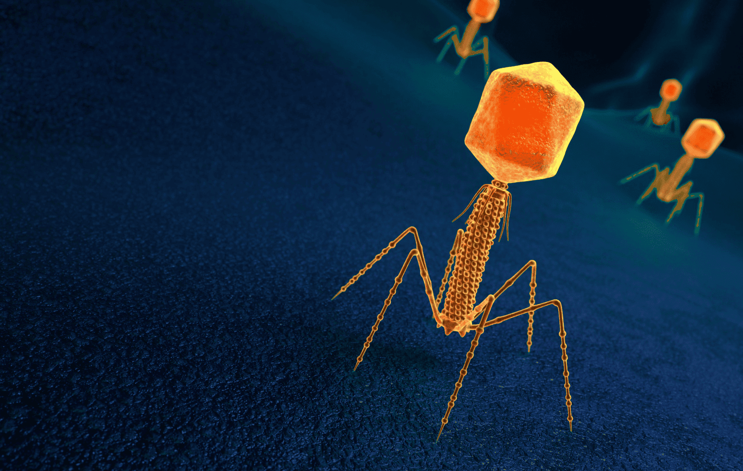 SK8 Biotechnologies Inc.