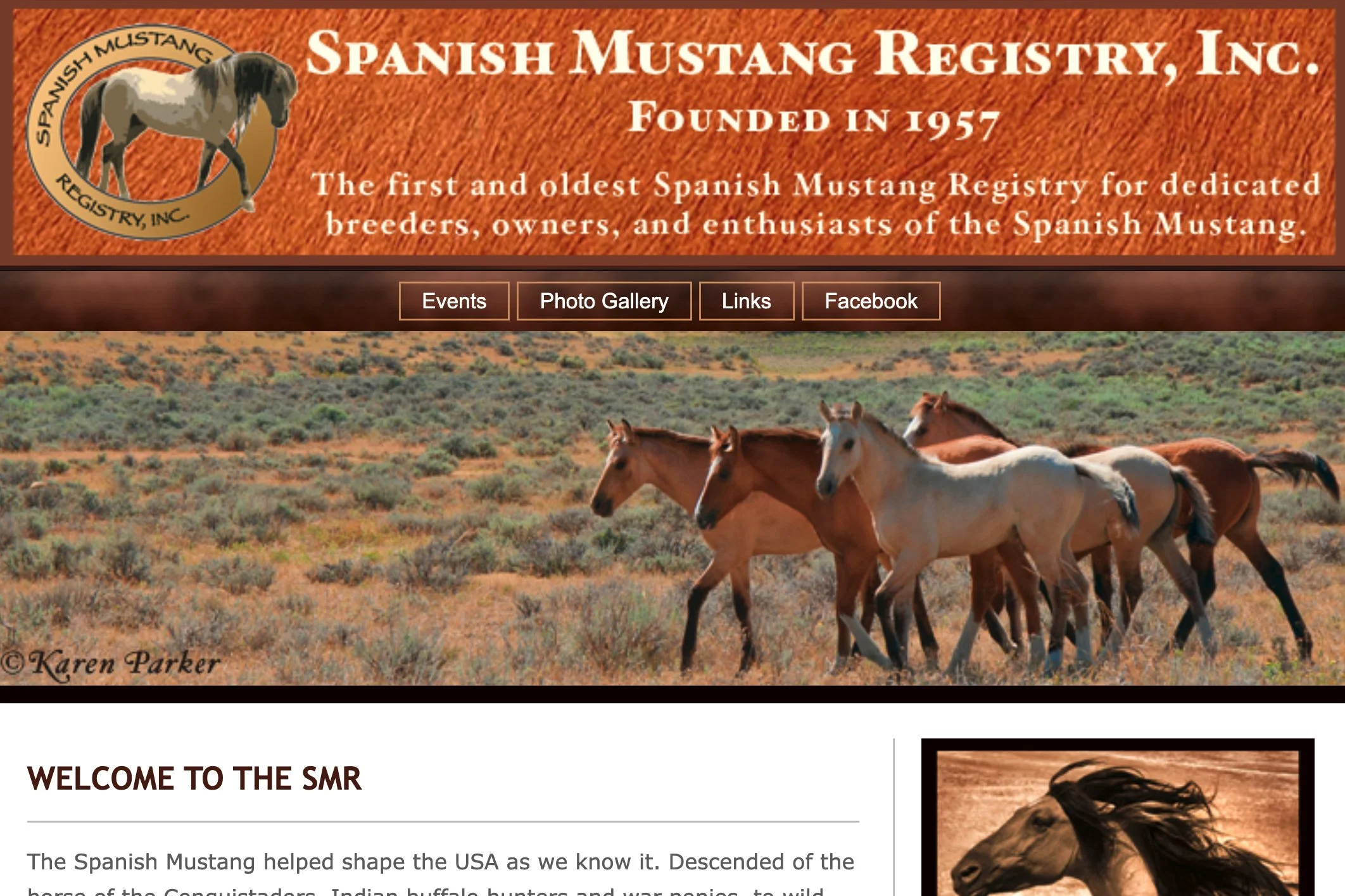 Partners and Links — Spanish Mustang Foundation