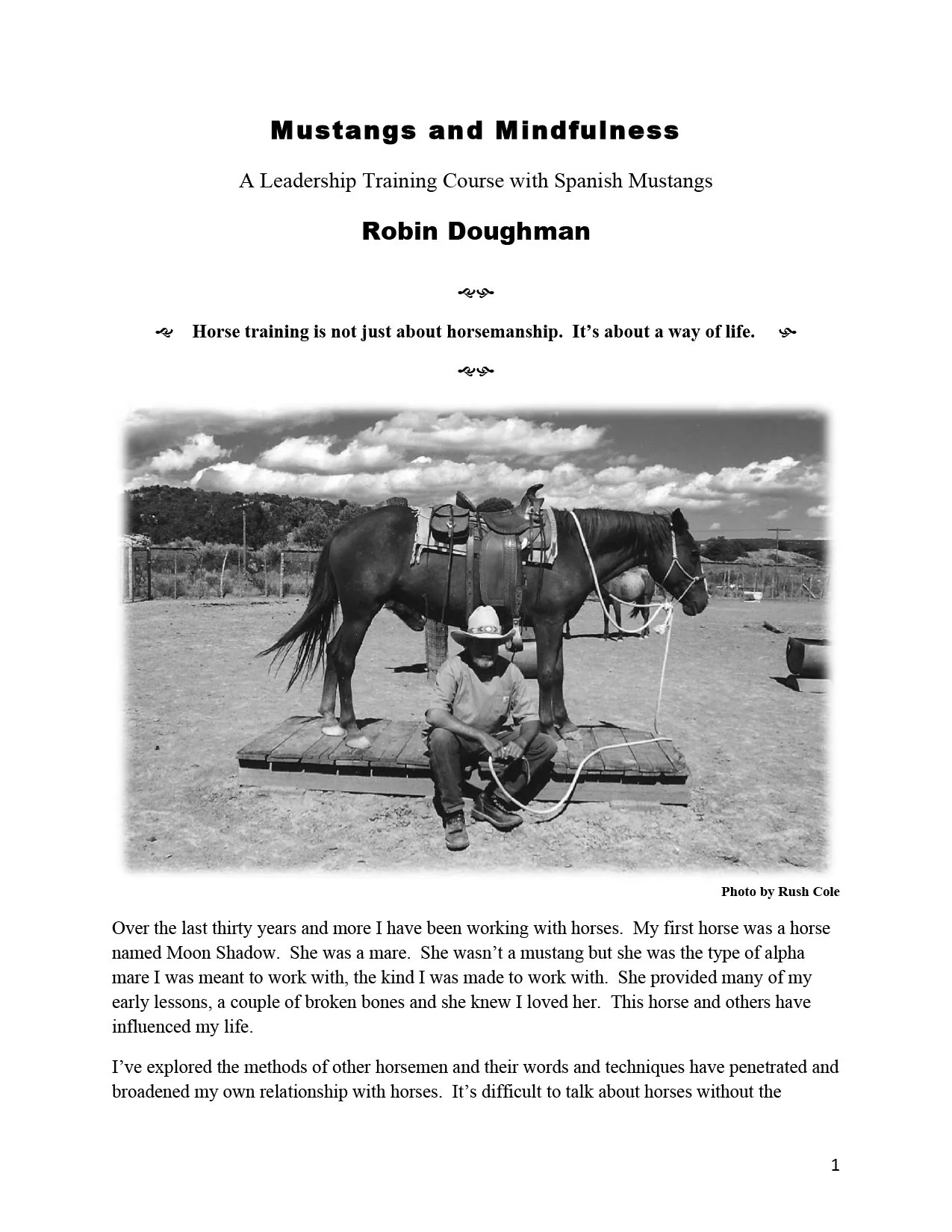 News & Events — Spanish Mustang Foundation