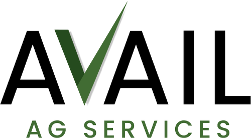 Our Team — Avail Professional Services