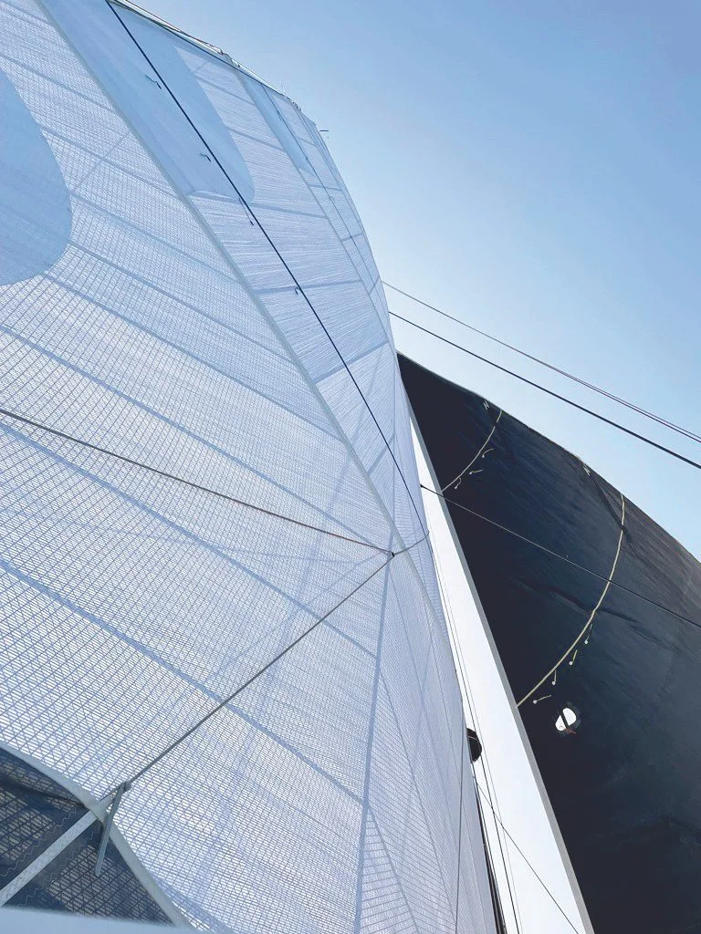 Palma Carbon — Challenge Sailcloth