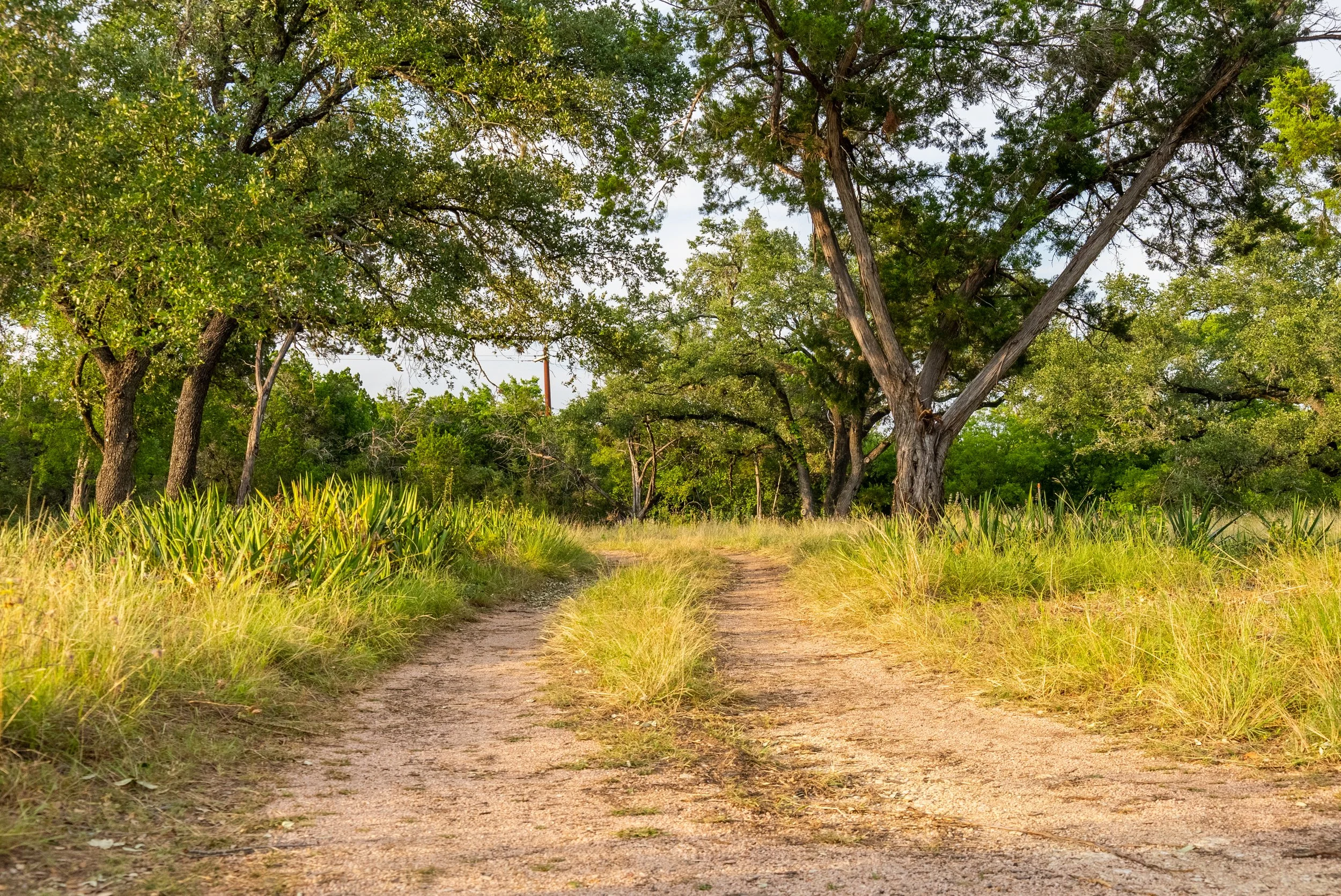 History — OLD OLIVER RANCH