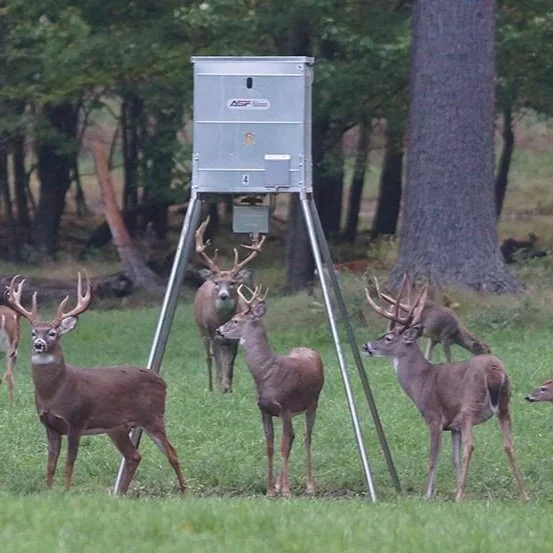 Next Level Whitetails