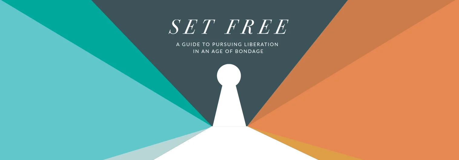 Set Free Movement Book — The Set Free Movement