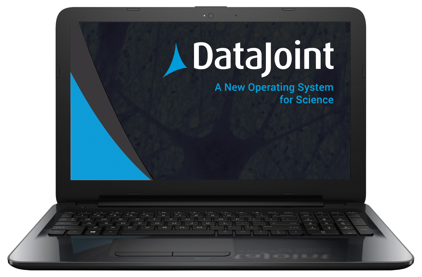 DataJoint