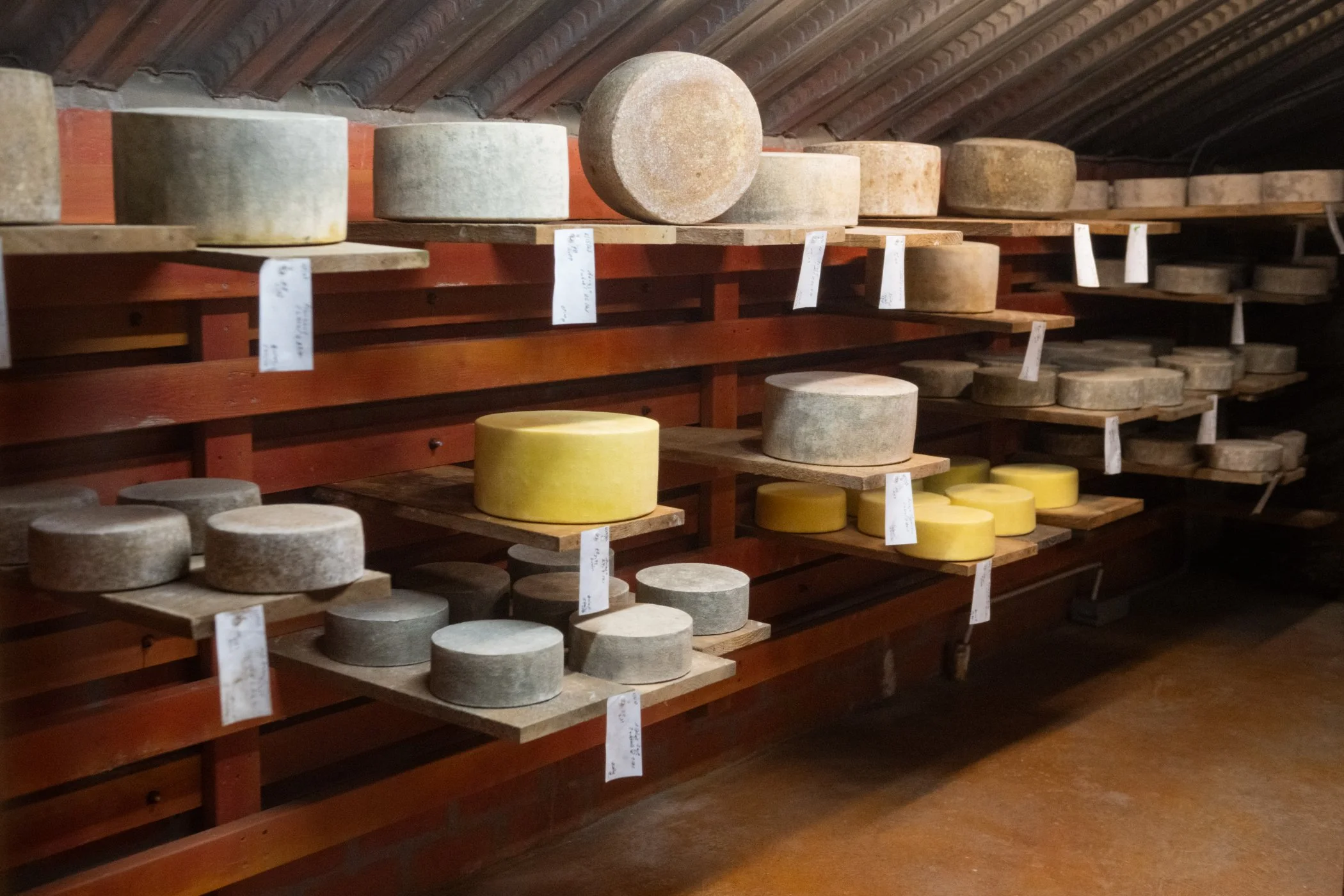 Must-Hit Spots on the WNC Cheese Trail — This Here Town