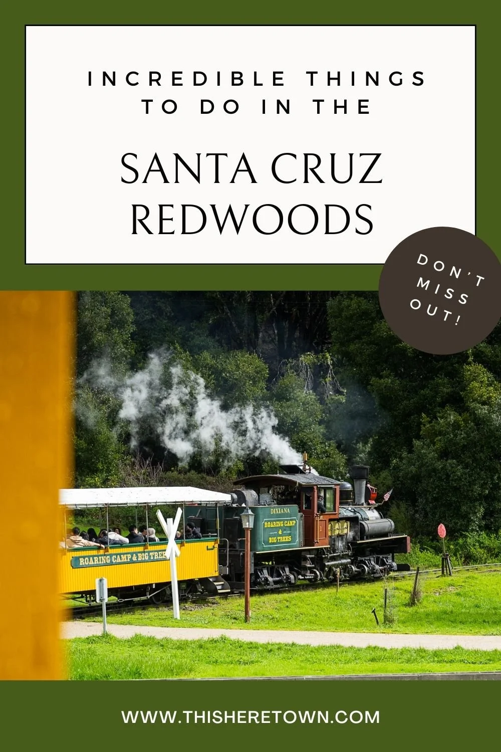 Incredible Things to Do in the Santa Cruz Redwoods — This Here Town