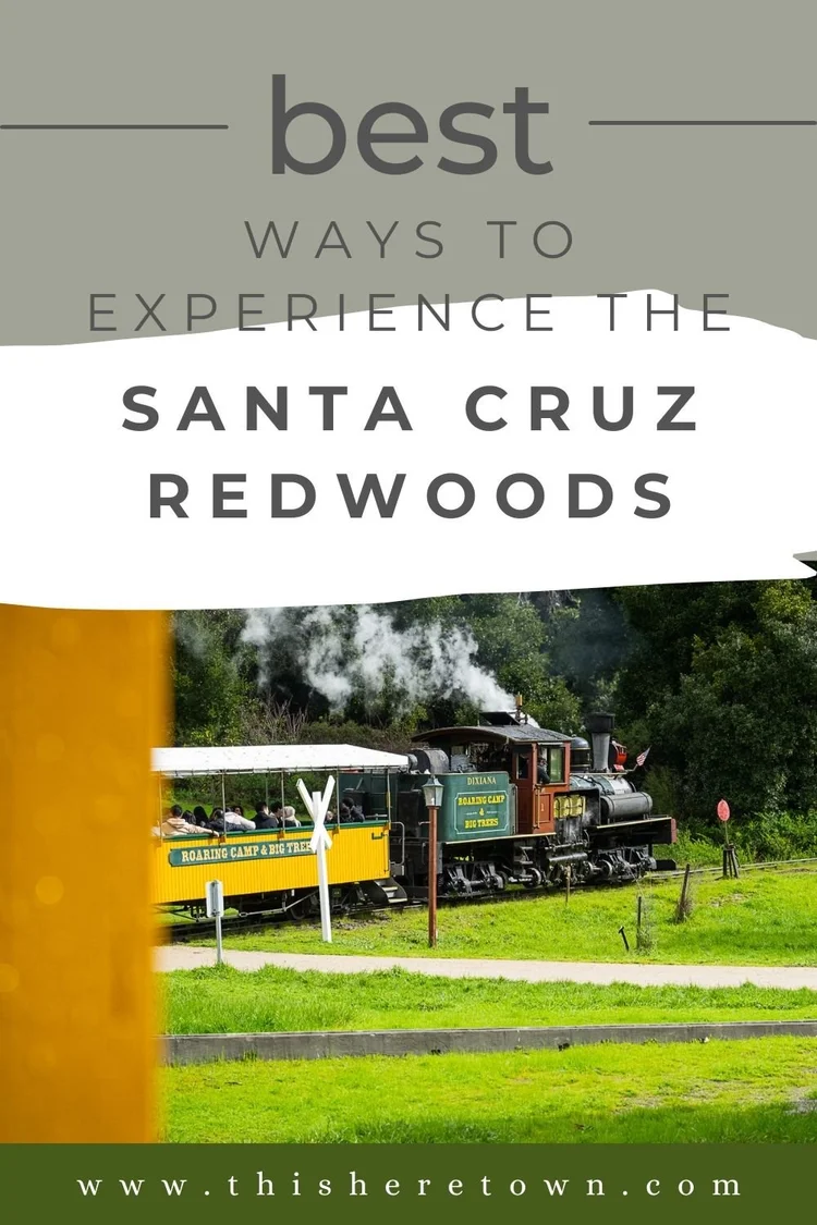 Incredible Things to Do in the Santa Cruz Redwoods — This Here Town