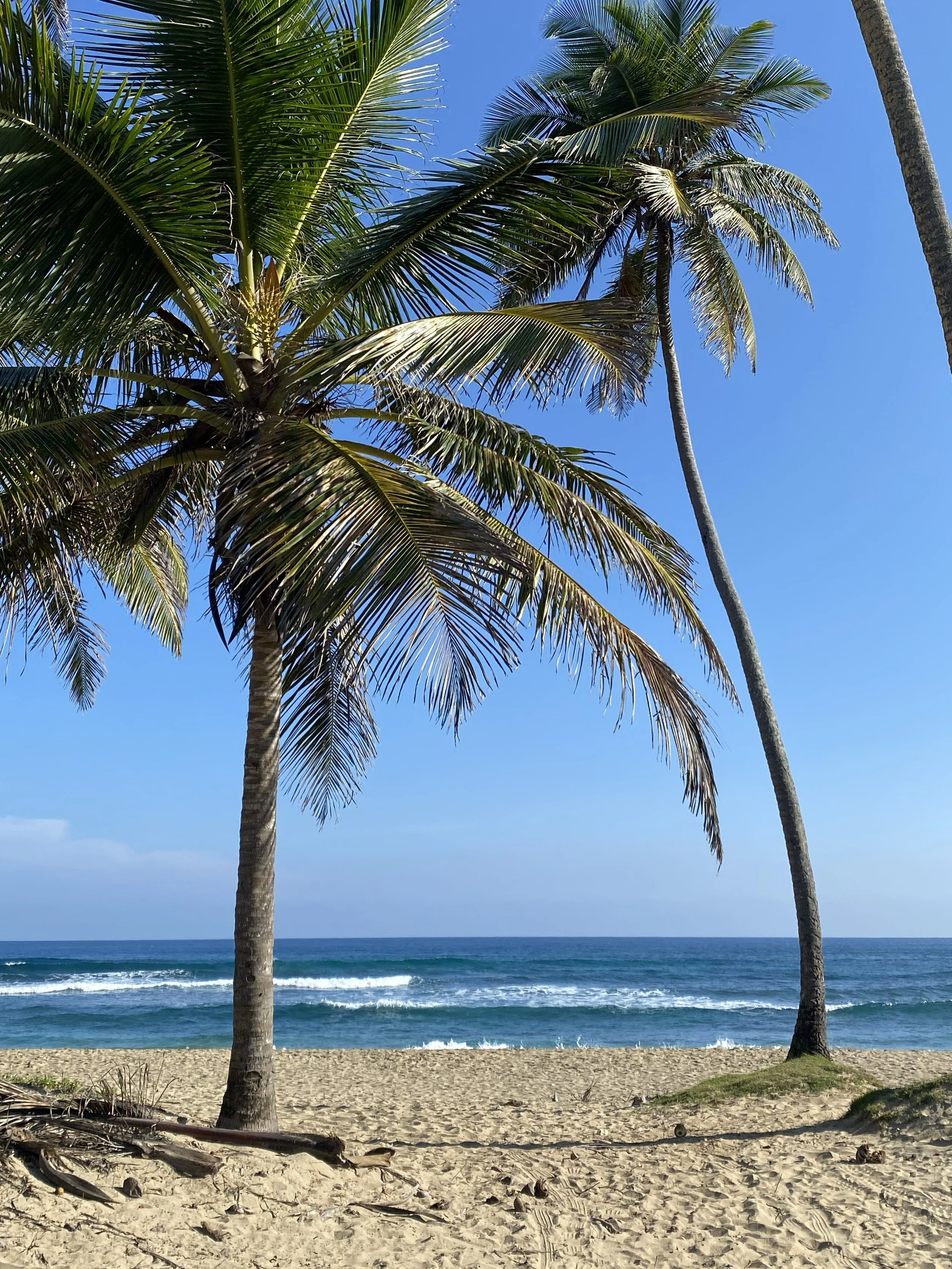 Kitesurfing in Cabarete Beach — This Here Town