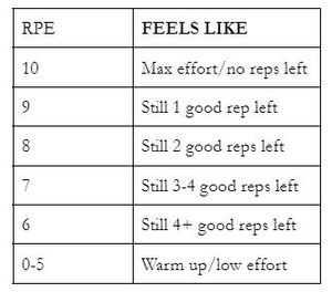 Don’t Be a Slave to the Training Plan: Use Rate of Perceived Exertion ...
