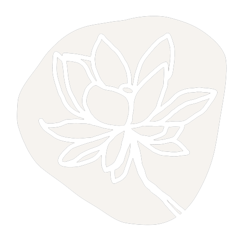 Lotus Yoga Studio
