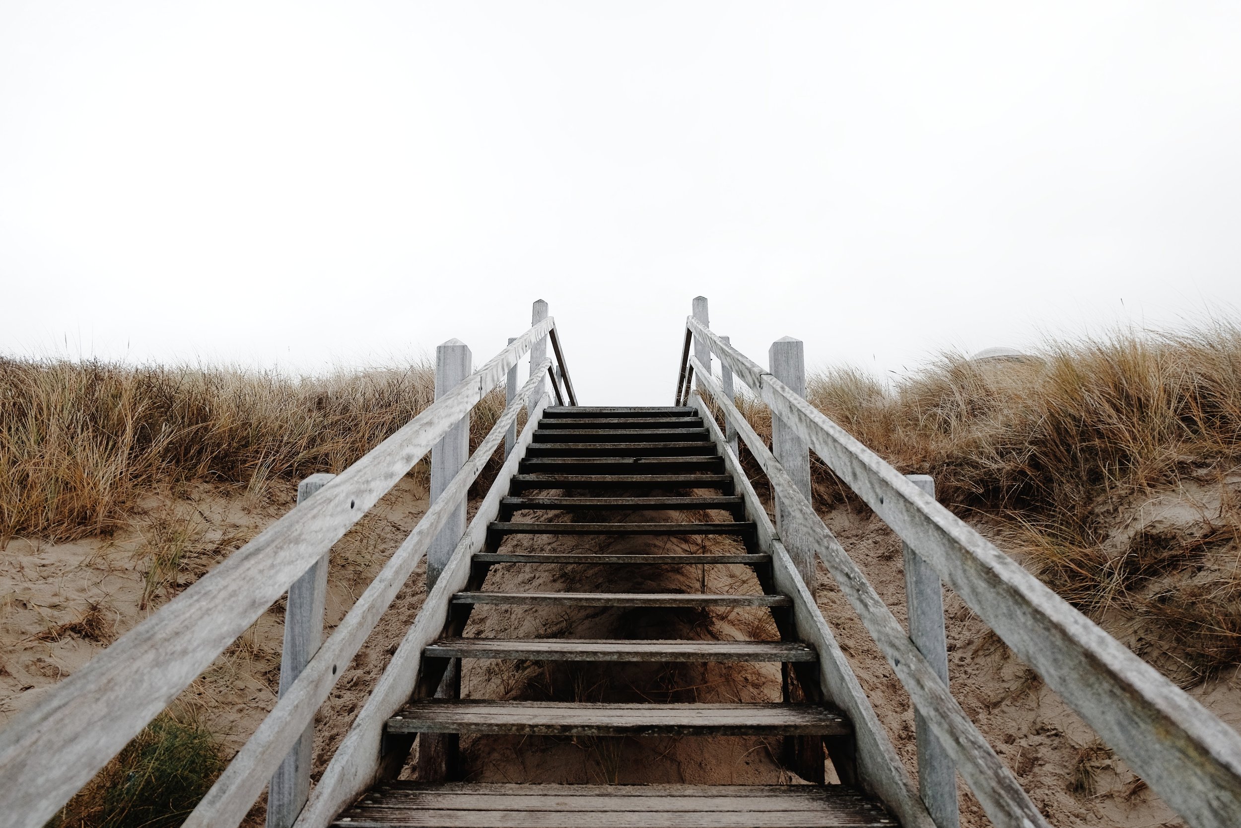 Step Forward