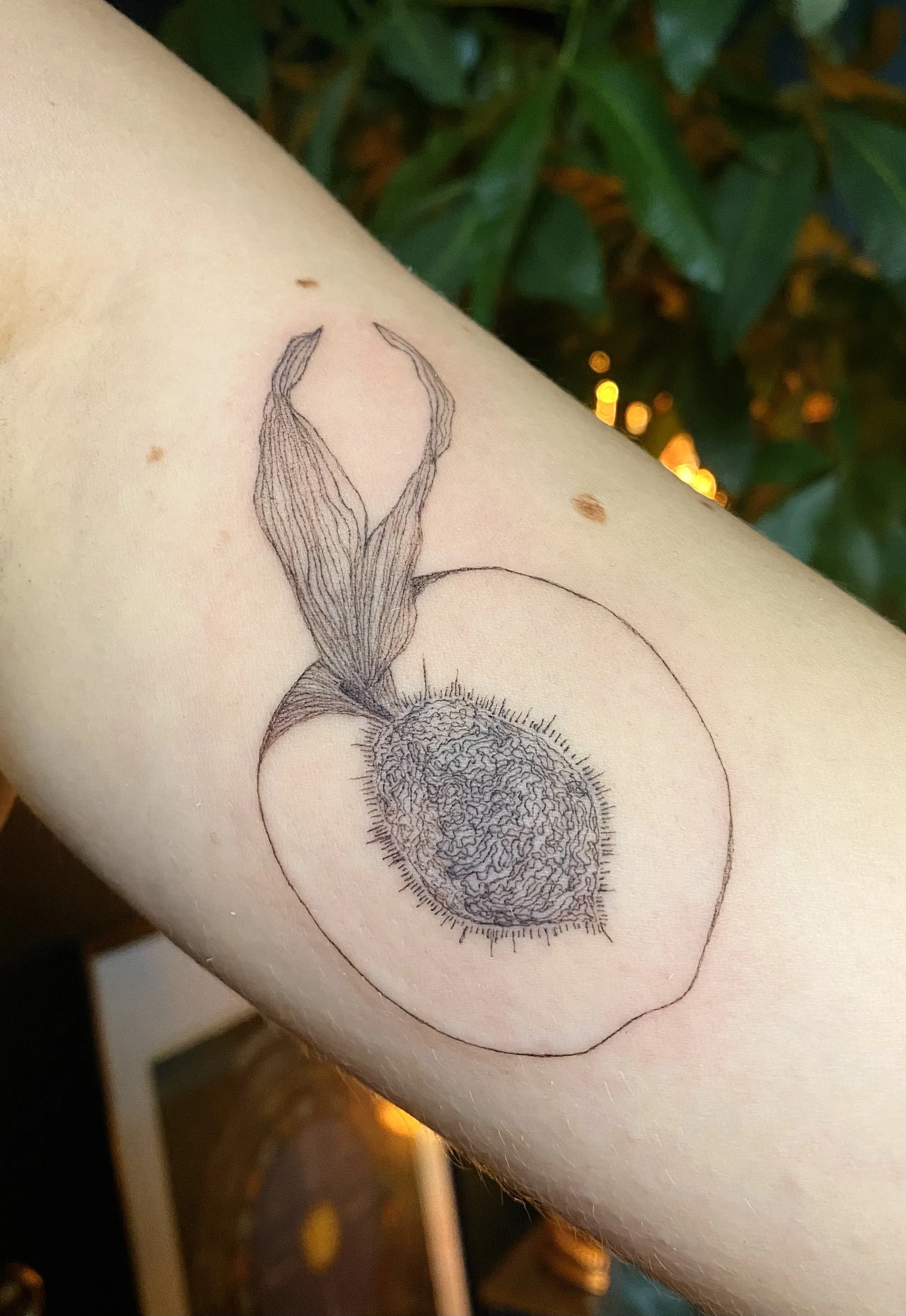 Fig Tattoo