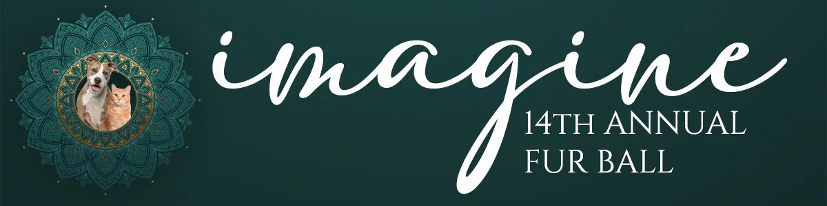Fur Ball 2023