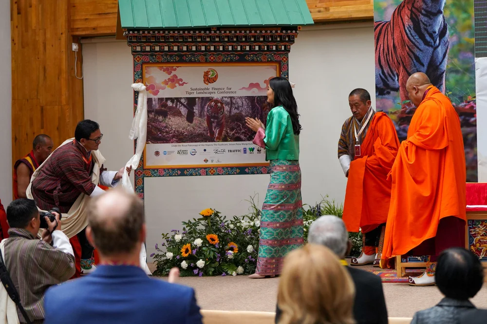 Art + Tiger Conservation - Limited Edition Release — Wildscapes Travel