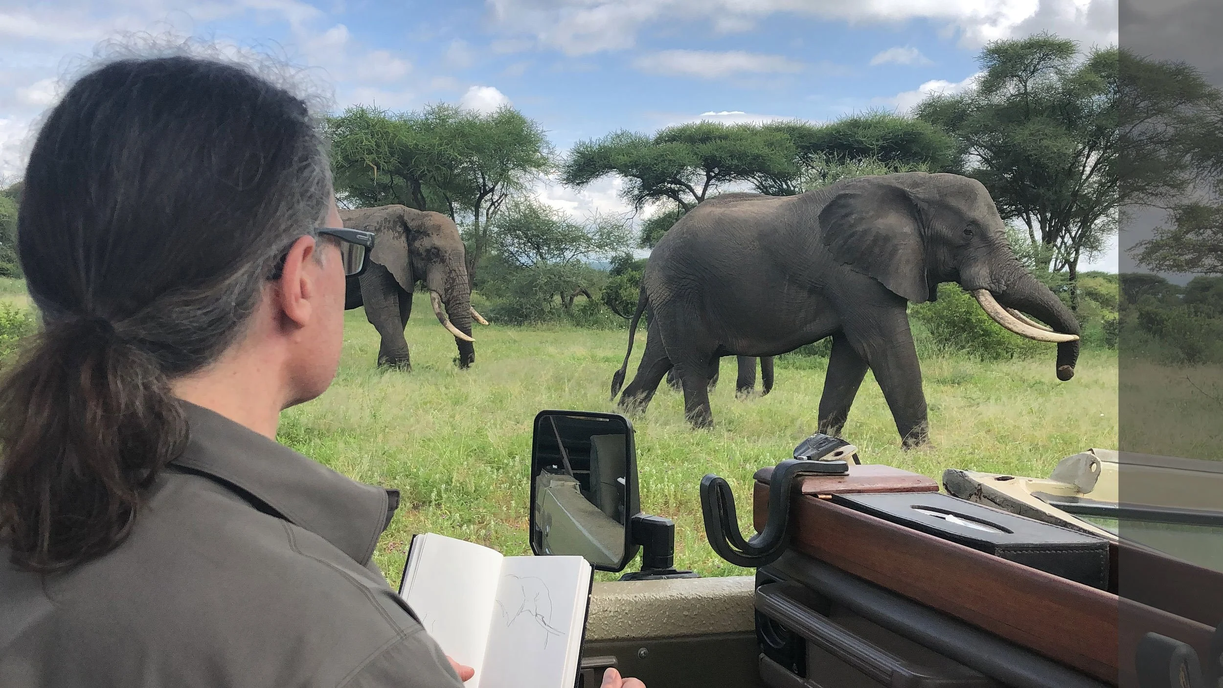 Intimate Family Safaris — Wildscapes Travel