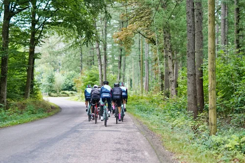 Green Exercise: Benefits & 10 Easy Ways To Incorporate It — FITFAMCO
