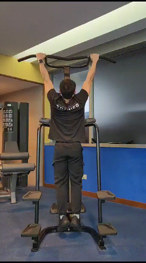 The Ultimate Guide to Your First Pull-Up — FITFAMCO