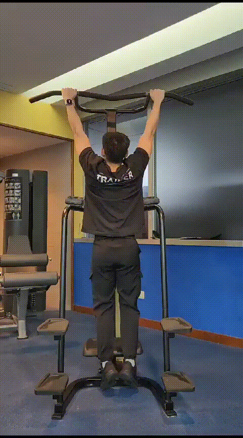 The Ultimate Guide to Your First Pull-Up — FITFAMCO