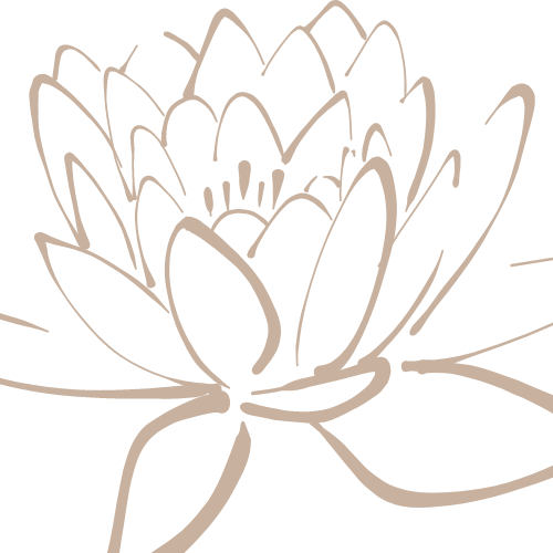 Still Ground Counselling in Nature