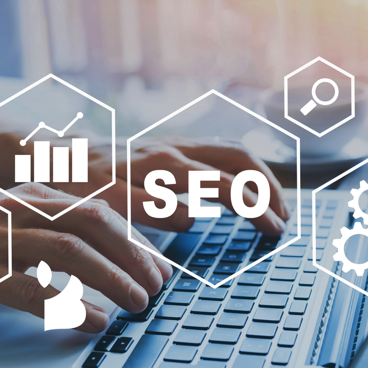 Enterprise SEO | Blu Mint