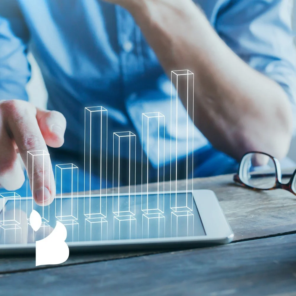 Conversion Rate Optimisation (CRO) | Blu Mint