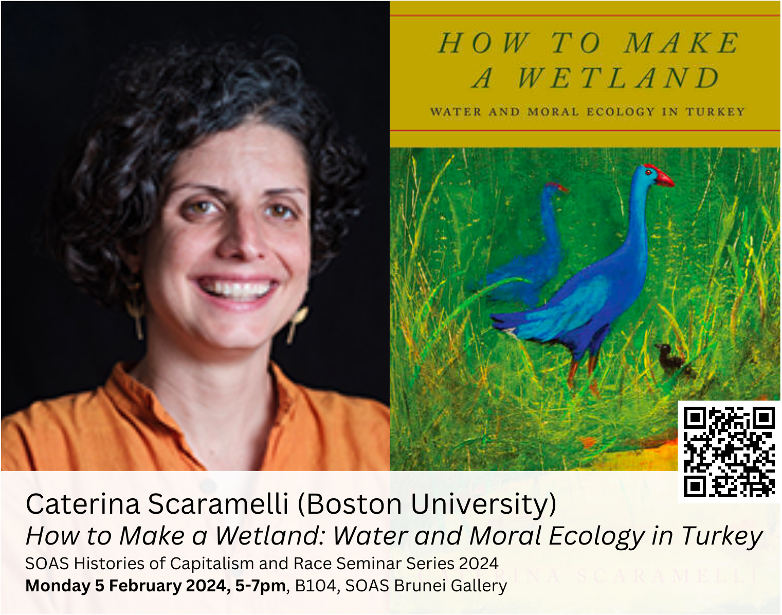 Caterina Scaramelli, How to Make a Wetland: Water and Moral Ecology in ...