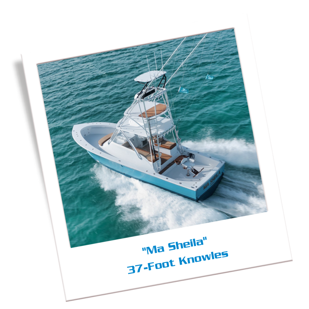 Our Fleet — Full Circle Fishing Charters & Boat Concierge