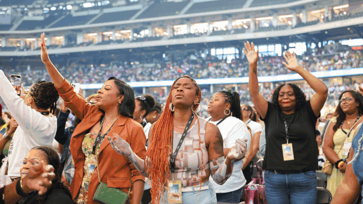 ABOUT — Woman Evolve