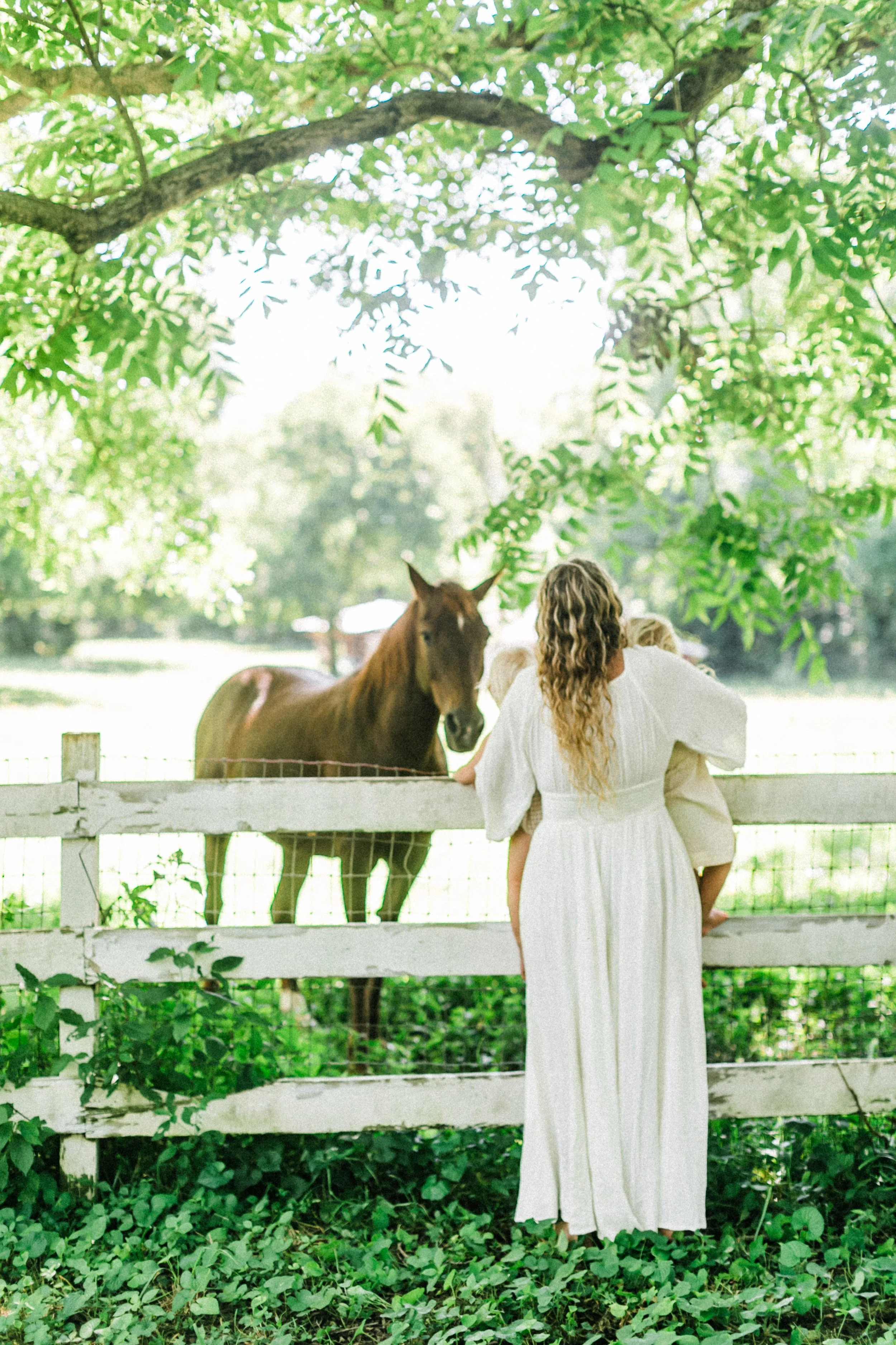 Into the Garden Content Day | Part Two — alabama photographer