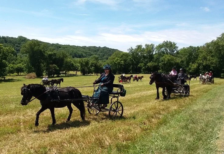 Pleasure Drives — Brandywine Valley Driving Club