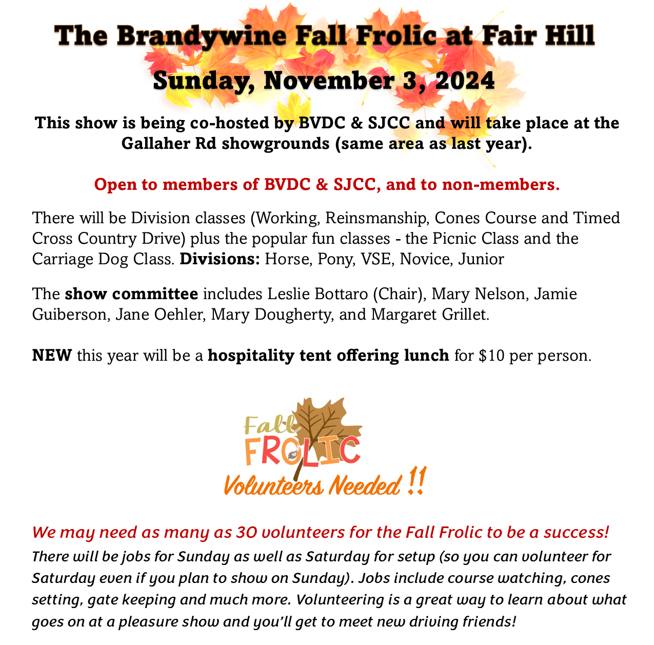Competitions — Brandywine Valley Driving Club