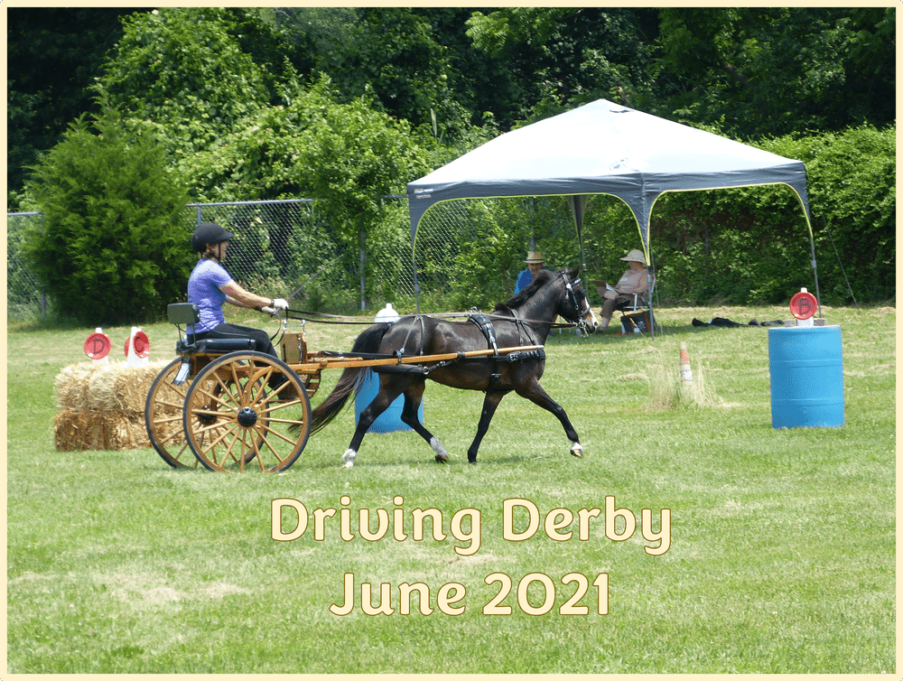 Photo Gallery — Brandywine Valley Driving Club